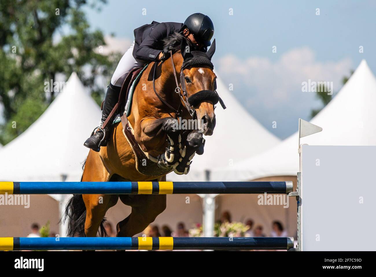 Horse Jumping, Equestrian Sports themed photo Stock Photo - Alamy
