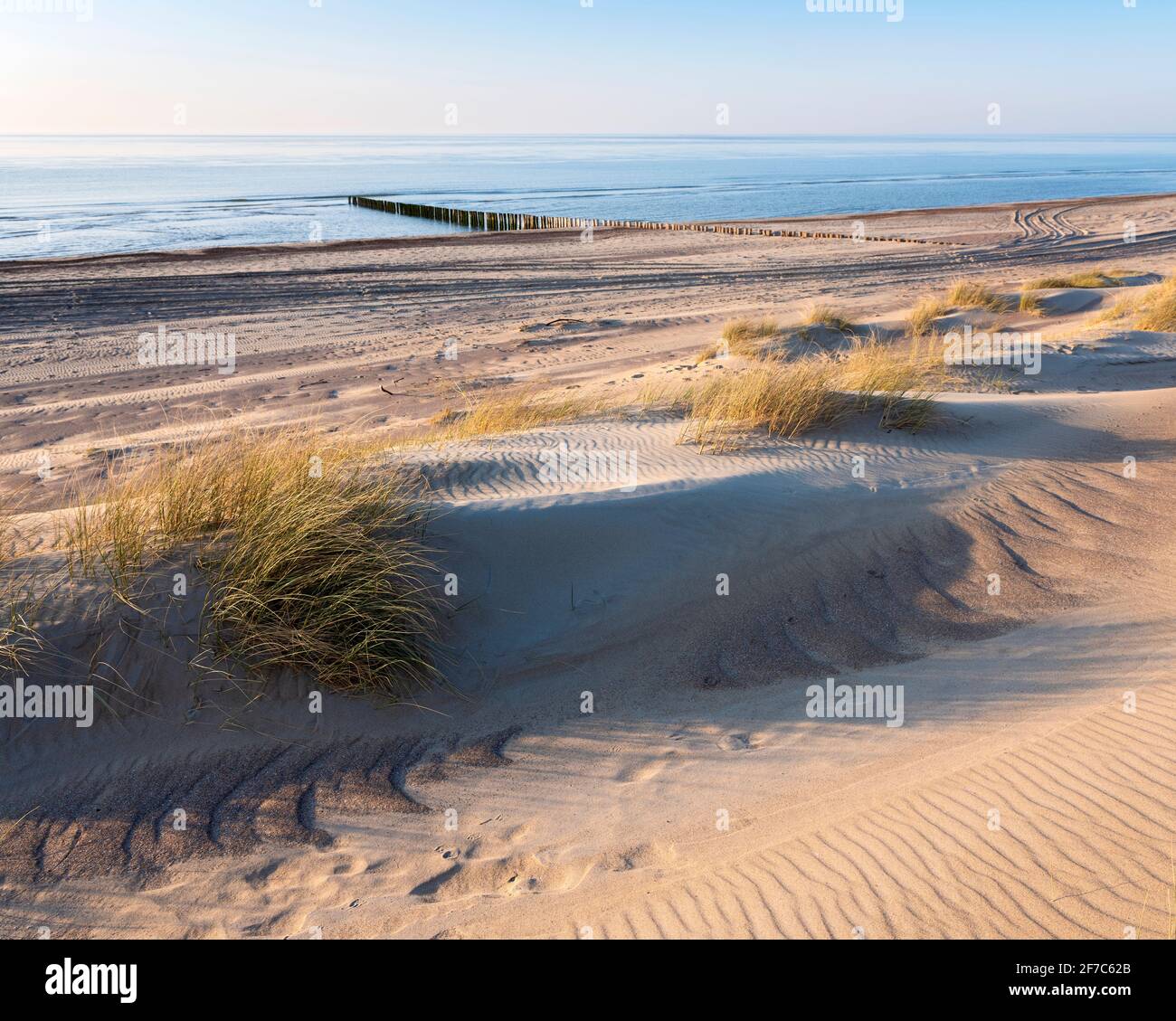 sand dunes and deserted beach on the dutch coast of north sea in ...