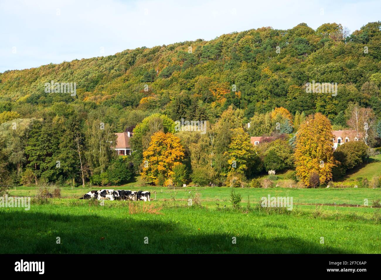 France. Picturesque rural landscape with autumnal forest, village ...