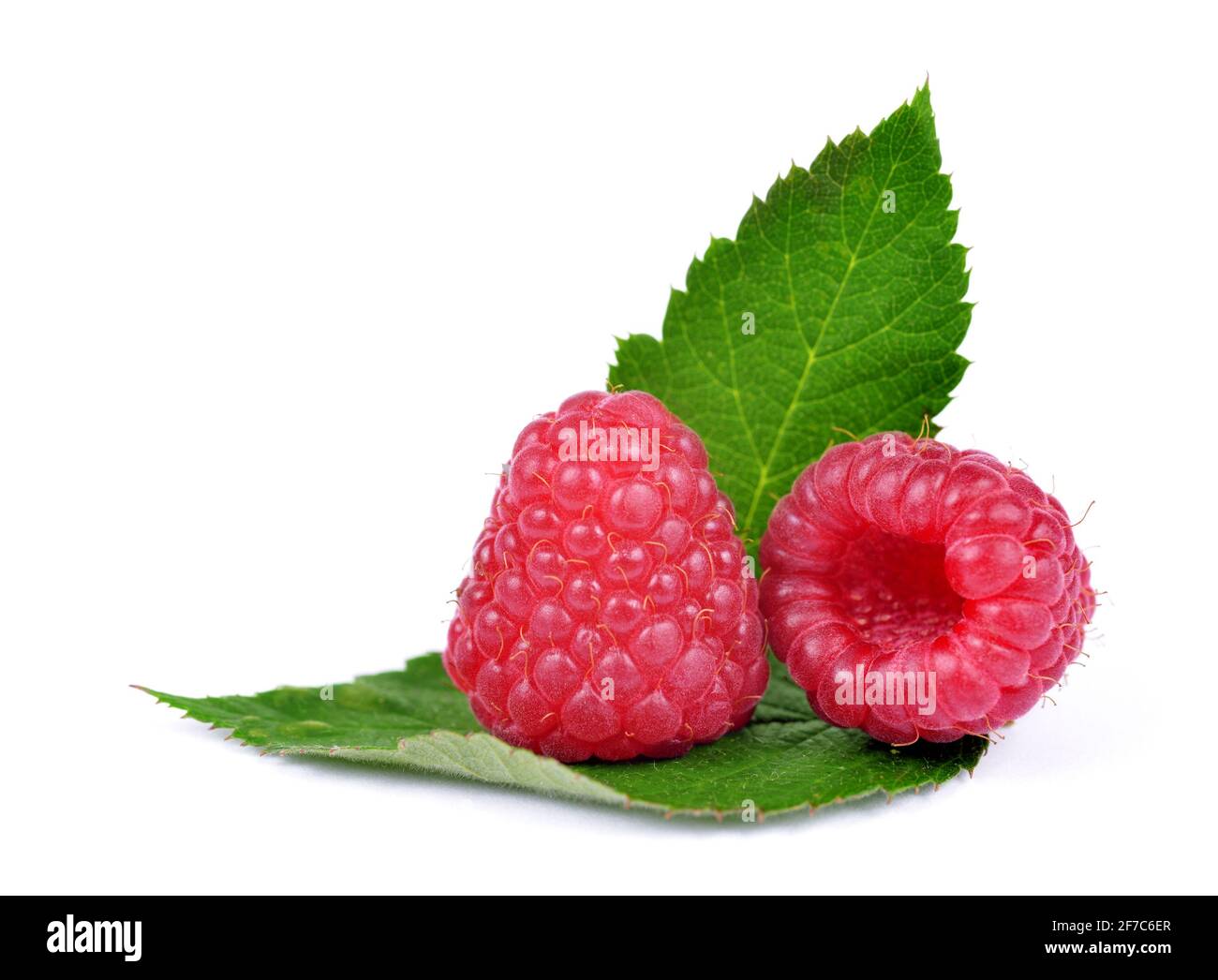 Sweet raspberry with leaf isolated on white background Stock Photo - Alamy