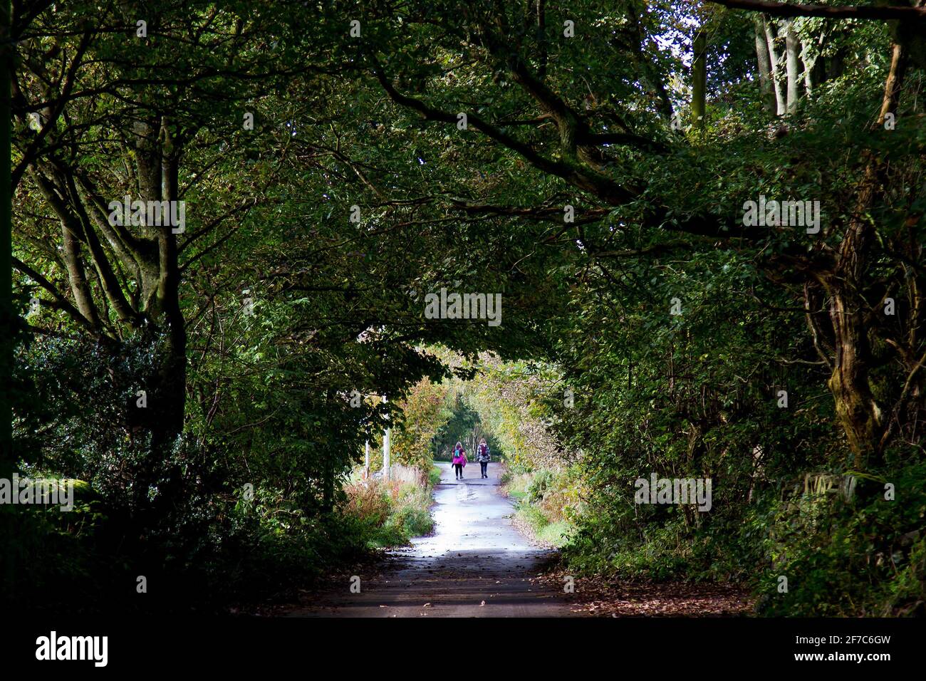 Two people walking along a lane Stock Photo - Alamy