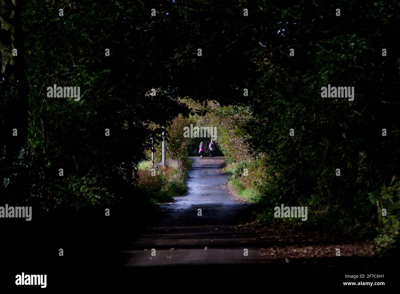 Two people walking along a lane Stock Photo - Alamy