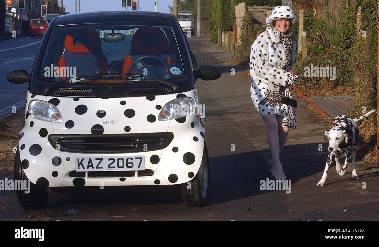 DALMATION MAD KAREN FERRIER WITH HER DOG DITTO WALK PAST HER SPOTTY CAR ...