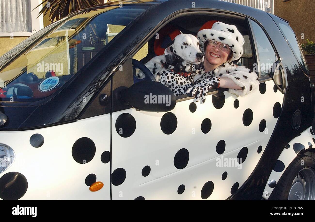 DALMATION MAD KAREN FERRIER WITH HER DOG DITTO IN HER SPOTTY CAR ...