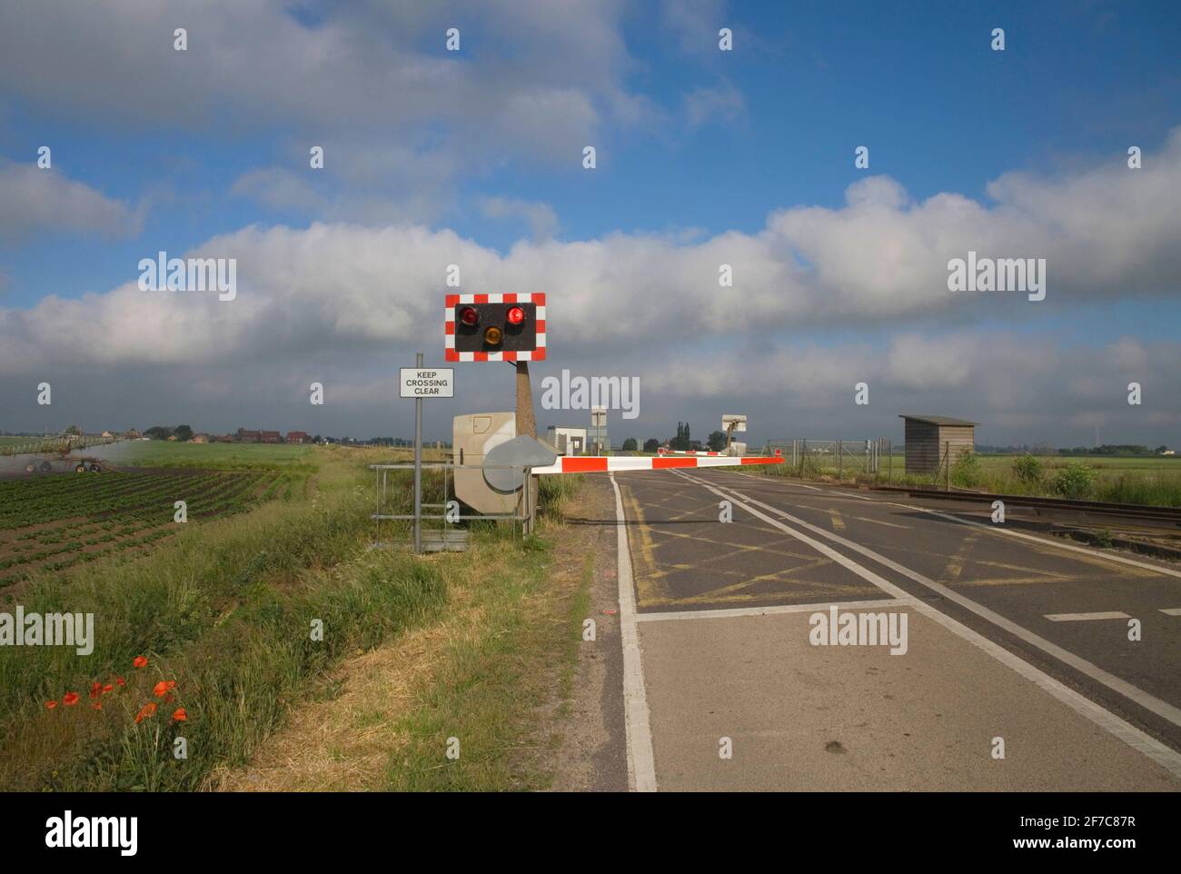 unmanned railway level crossing on the cambridgeshire fens Stock Photo - Alamy