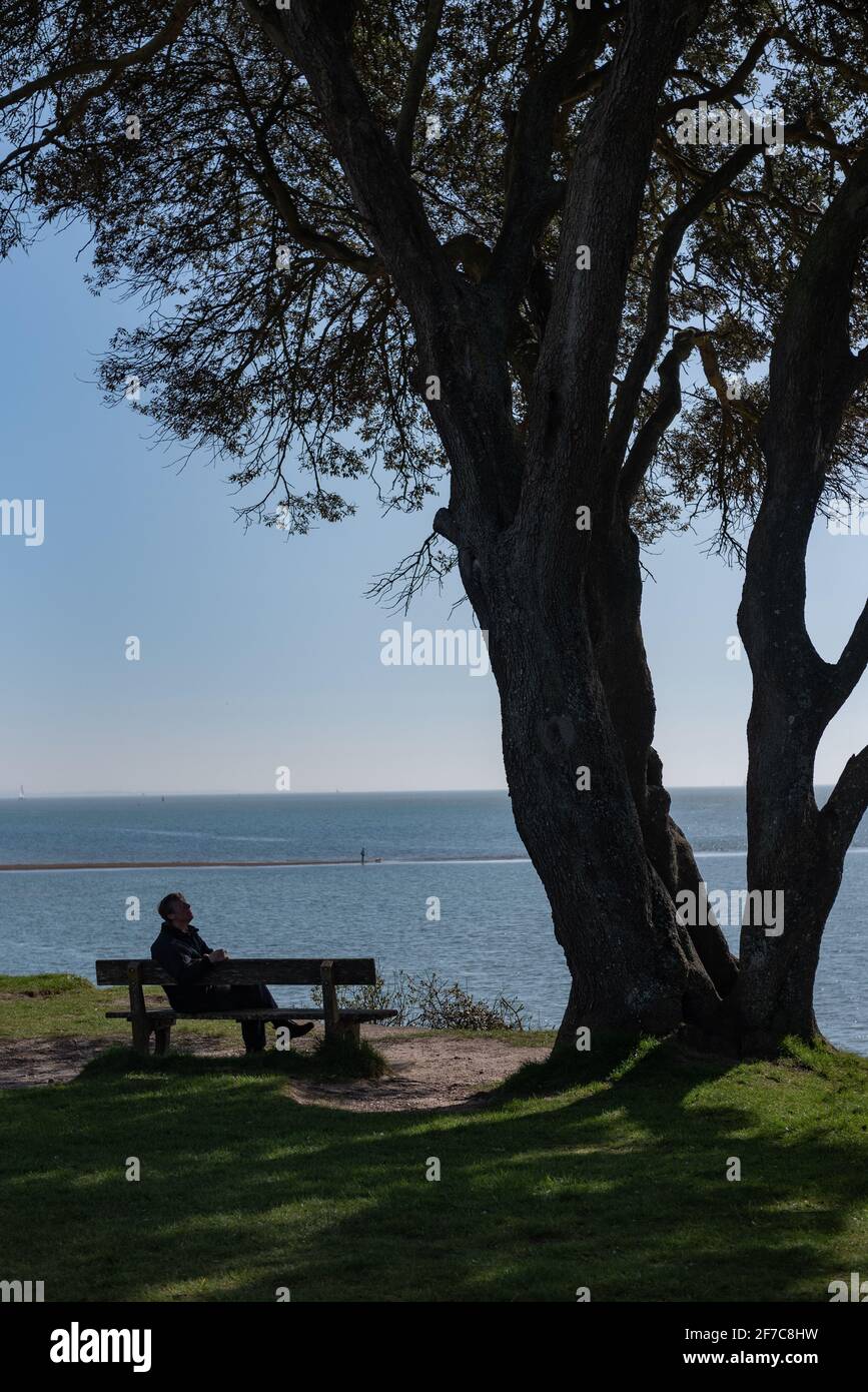 Man resting under tree hi-res stock photography and images - Alamy