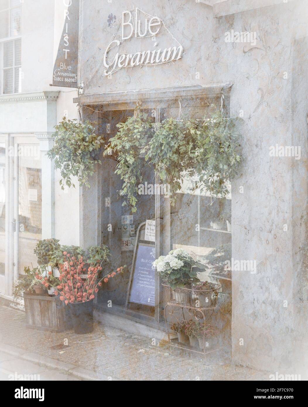 Devon flower trade hi-res stock photography and images - Alamy
