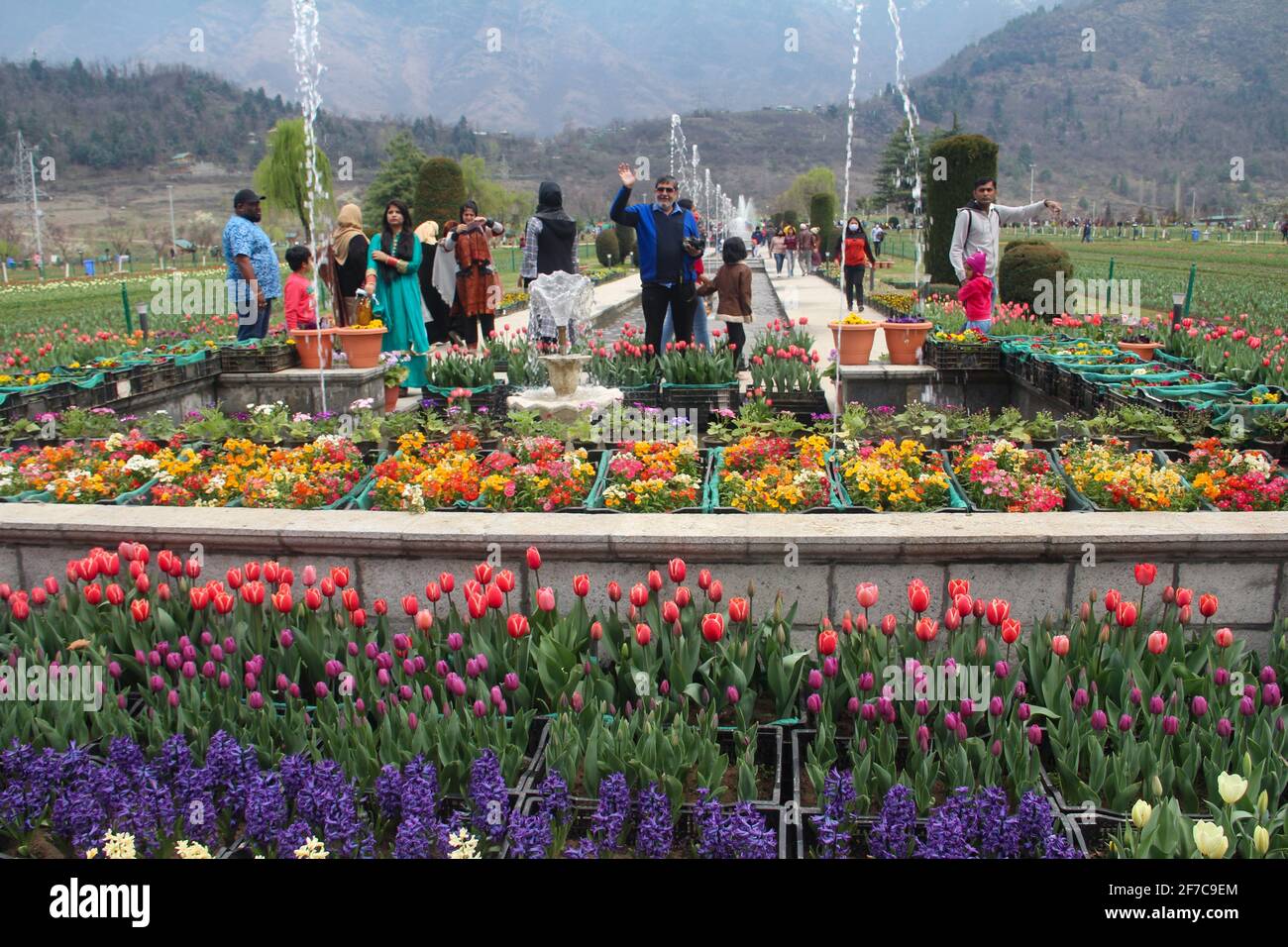 Visitors walk inside Kashmir's tulip garden on the foothills of ...