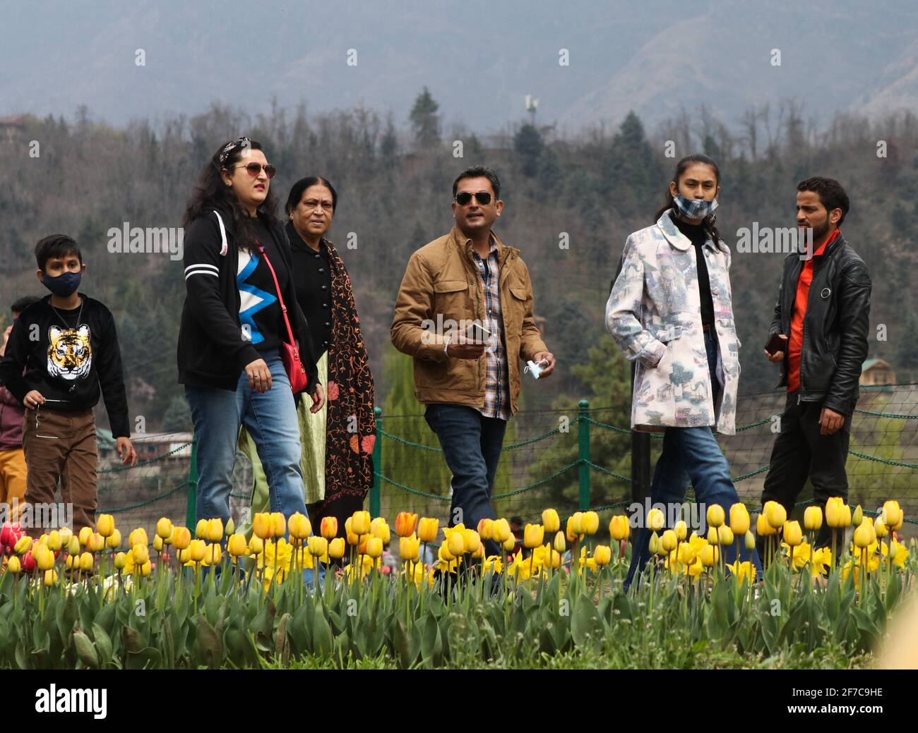 Visitors walk inside Kashmir's tulip garden on the foothills of ...