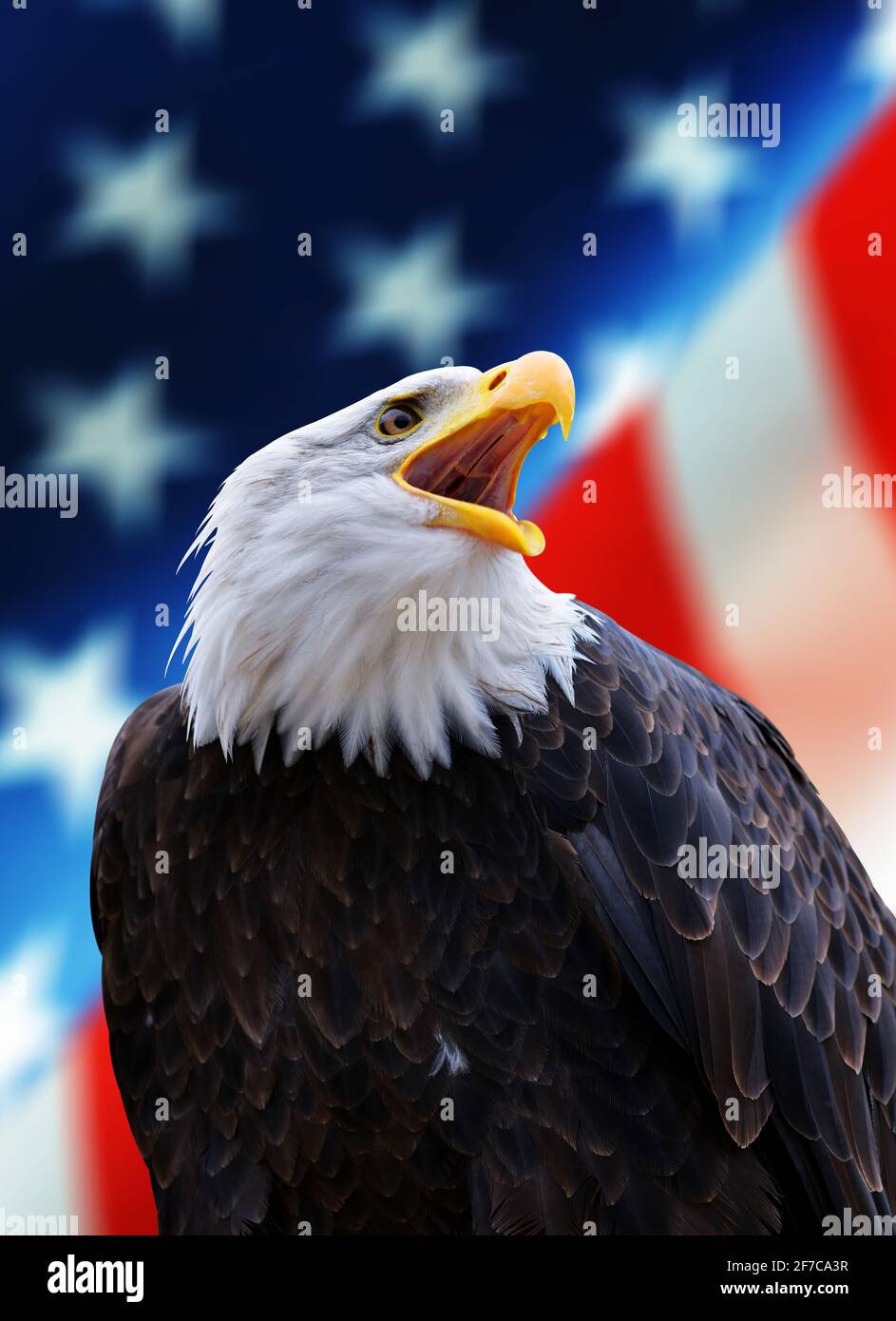Symbols america flag bald eagle hi-res stock photography and images - Alamy