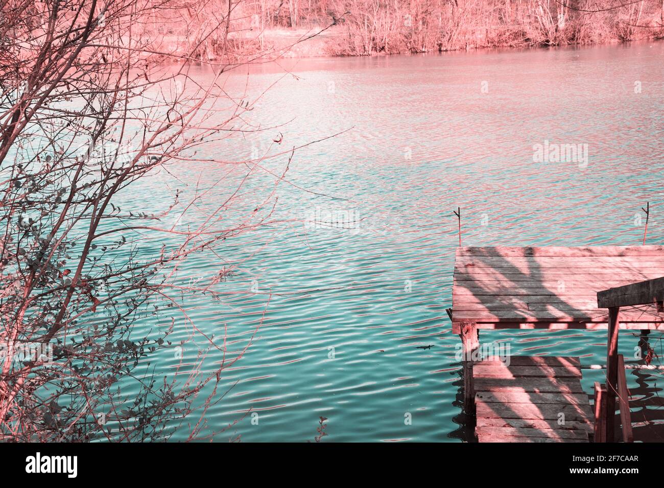 Wooden gangway for fishing in river. Scenic view at sunrise pink soft ...