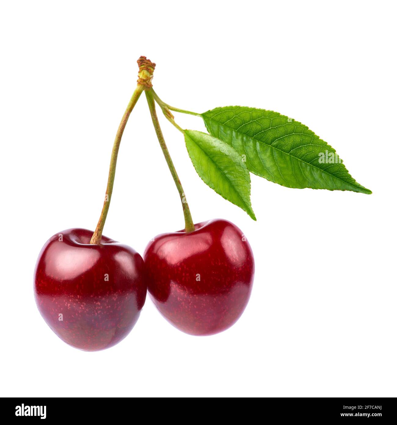 sweet cherry fruits isolated on white background Stock Photo - Alamy