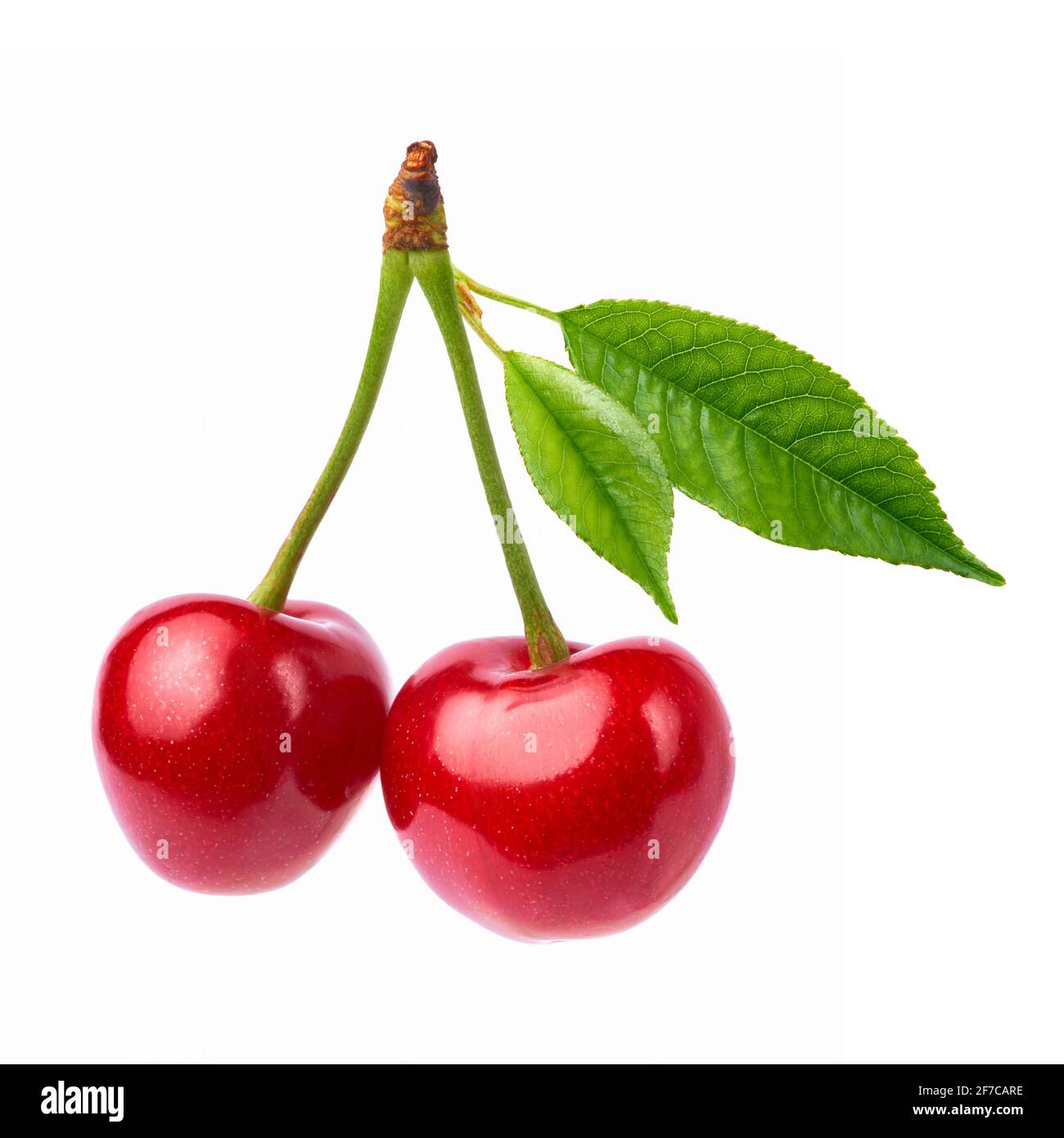 sweet cherry fruits isolated on white background Stock Photo - Alamy