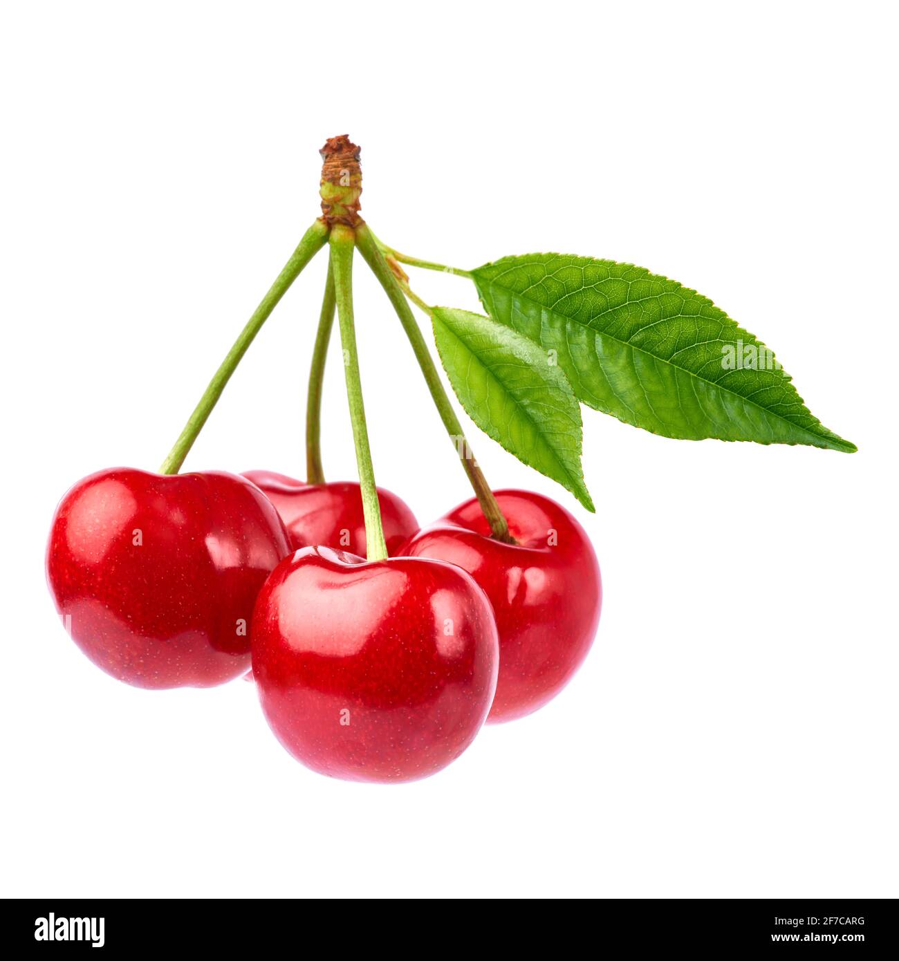 sweet cherry fruits isolated on white background Stock Photo - Alamy