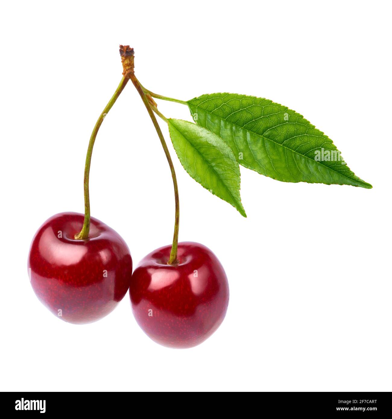 sweet cherry fruits isolated on white background Stock Photo - Alamy