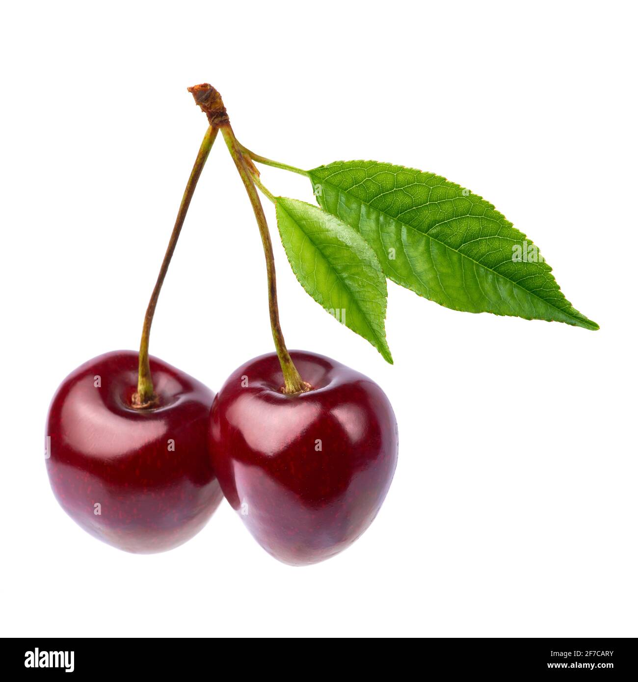 sweet cherry fruits isolated on white background Stock Photo - Alamy