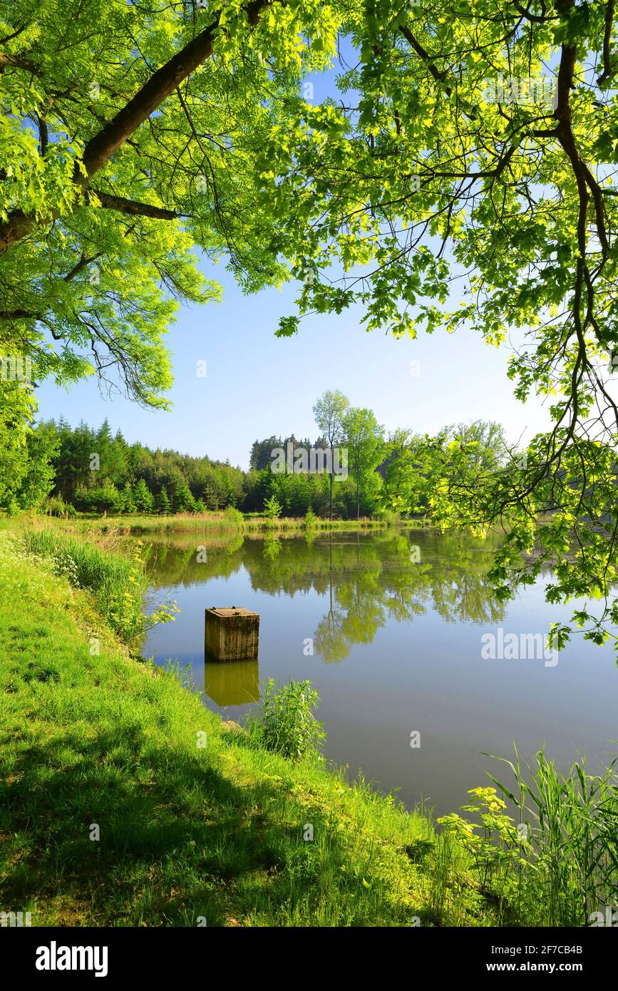 Bright scenic pond hi-res stock photography and images - Alamy