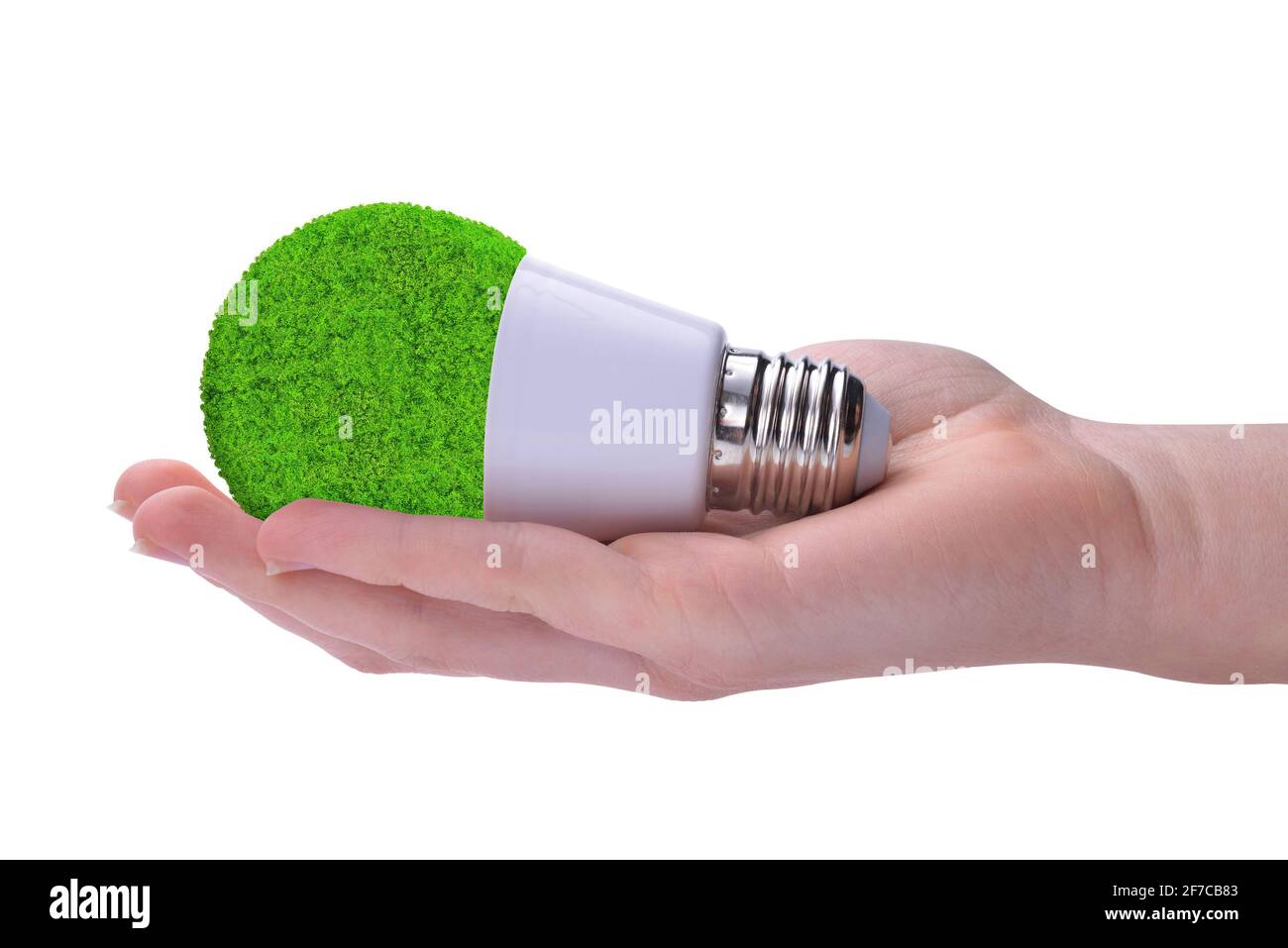 Hand holding eco LED bulb isolated on white background. Energy saving ...