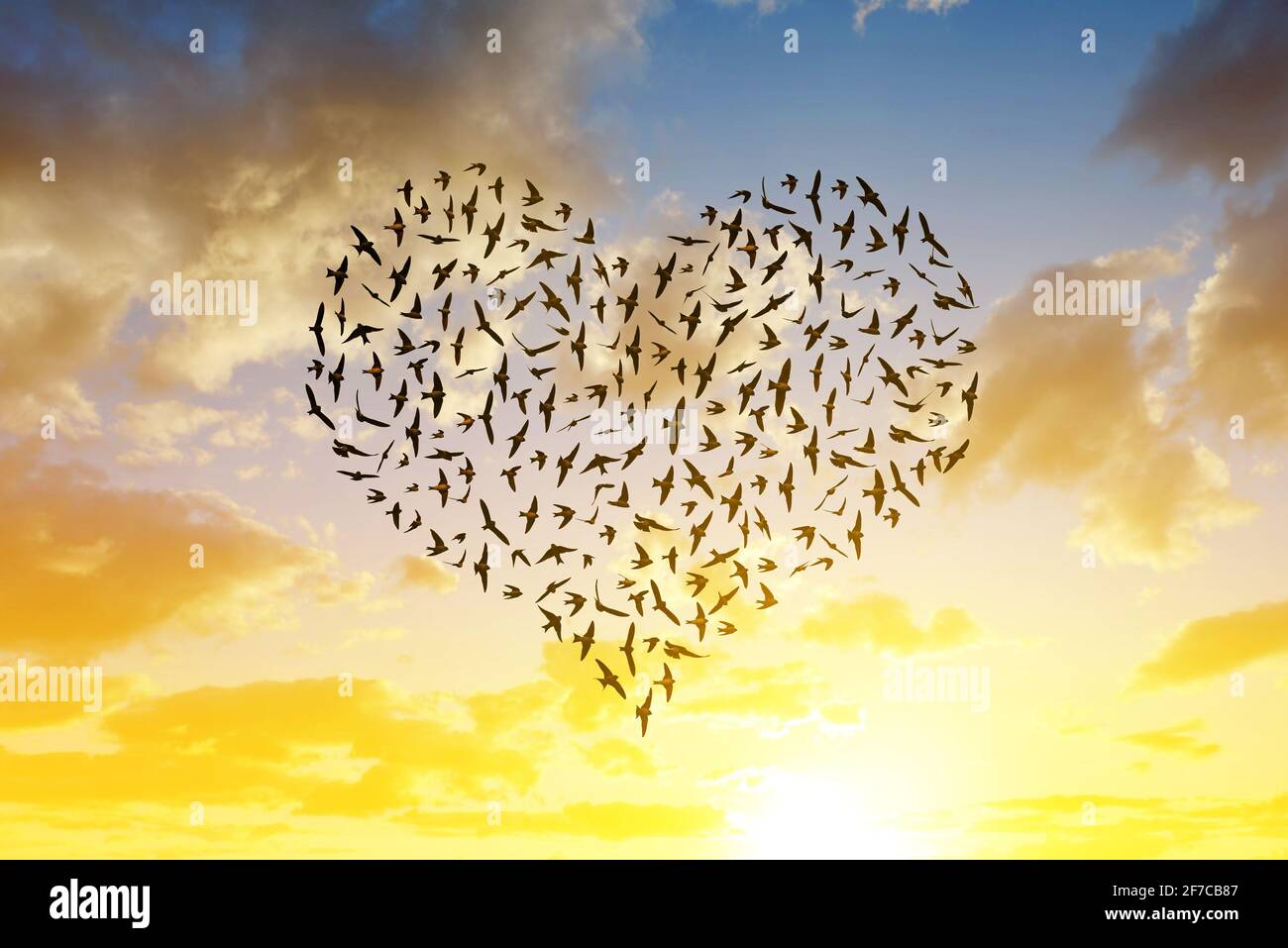 Flying birds in heart hi-res stock photography and images - Alamy