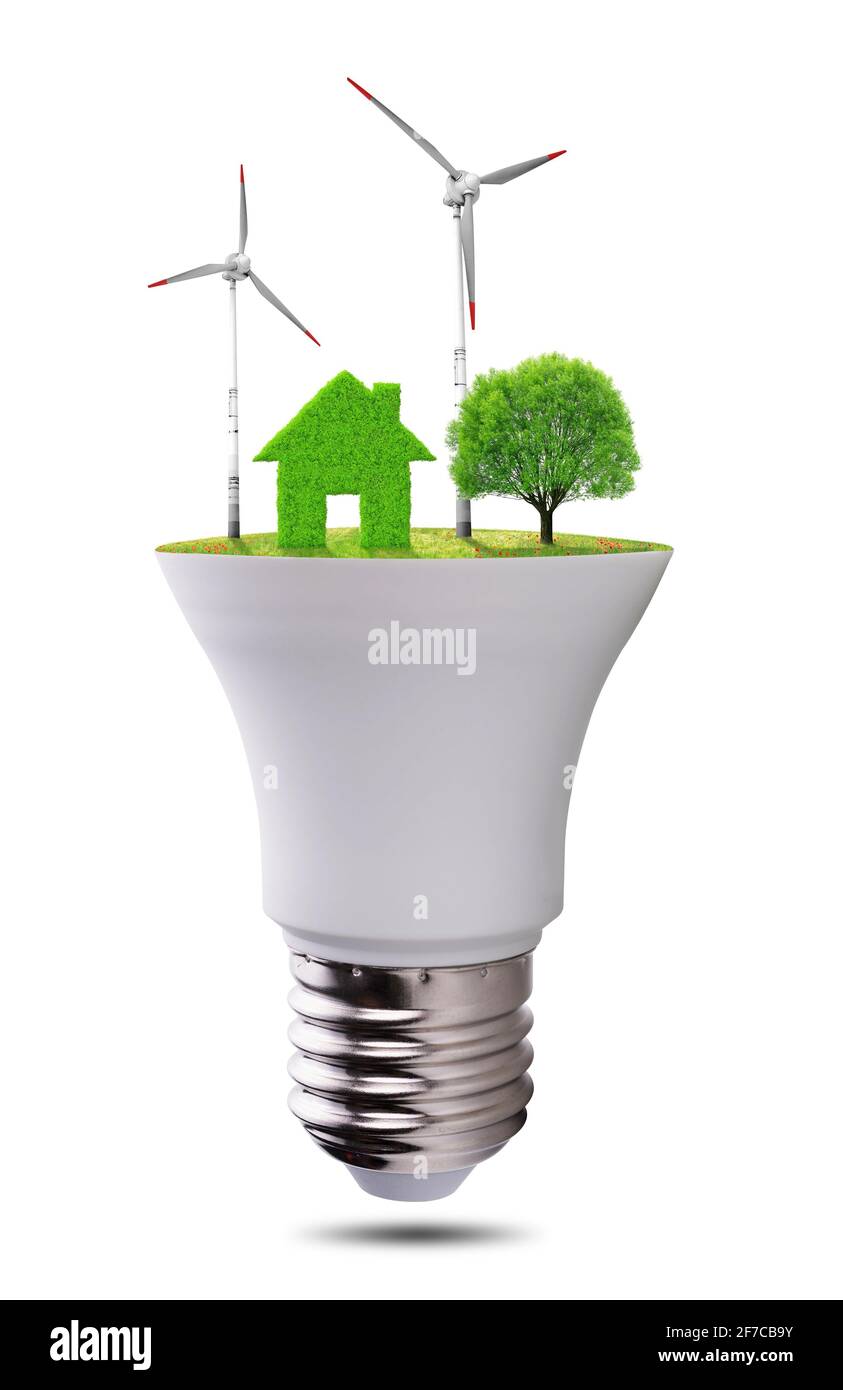 Eco LED light bulb isolated on white background. Concept of green ...