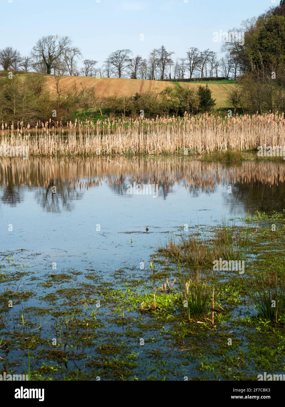 Arkendale village hi-res stock photography and images - Alamy