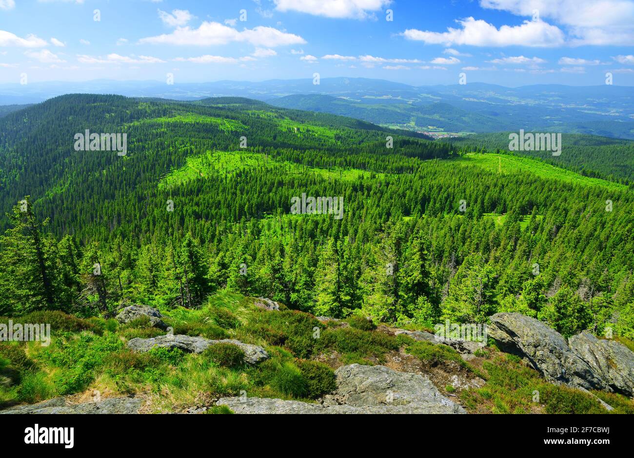 Summer landscape in National park Bayerische Wald, view from the ...