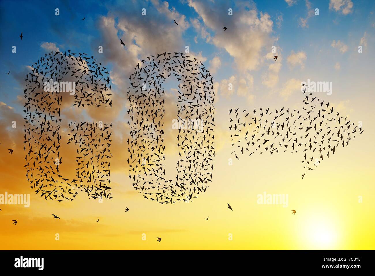 Silhouette of birds flying in text go and arrow formation at sunset sky ...