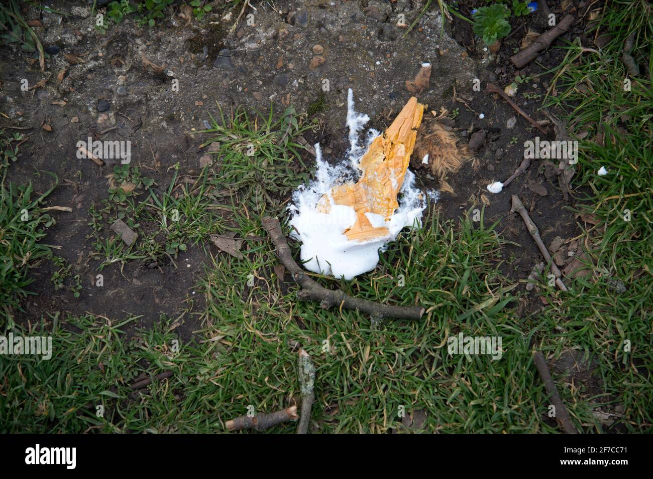 Dropped cone hi-res stock photography and images - Alamy