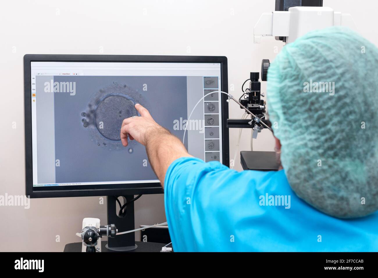 Embryologists perform test with human eggs. Doctor working on ...