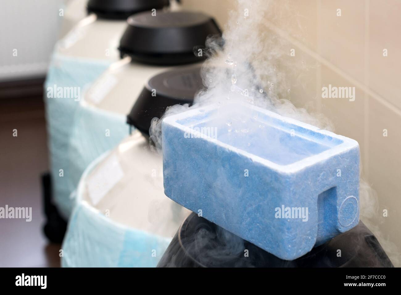 Liquid Nitrogen bank containing sperm and eggs samples. Modern ...