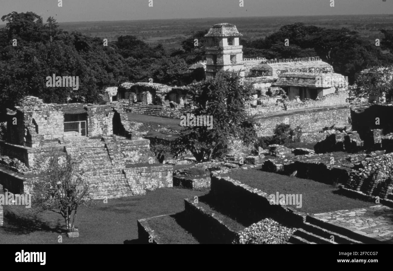 Mexico: The ancient temples of Palenque Stock Photo - Alamy