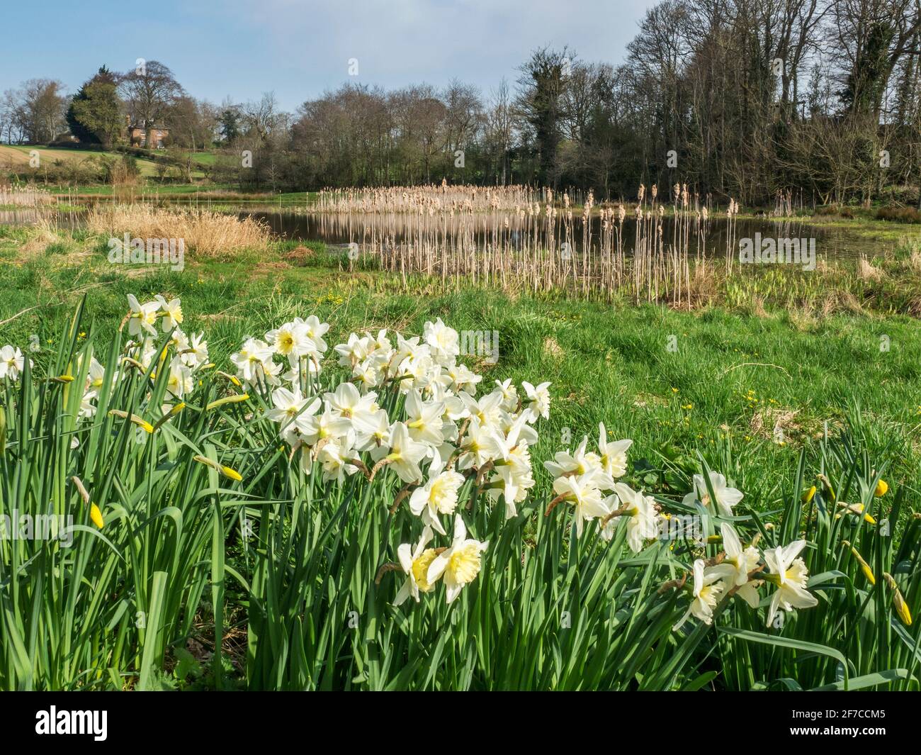 Arkendale village hi-res stock photography and images - Alamy