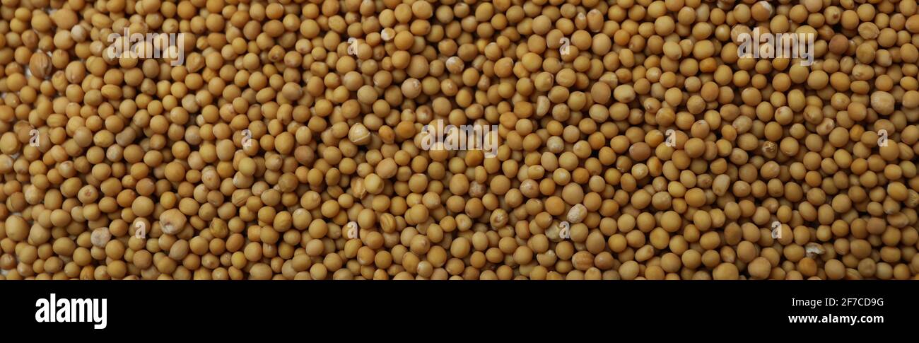 Whole grain mustard seed hi-res stock photography and images - Alamy