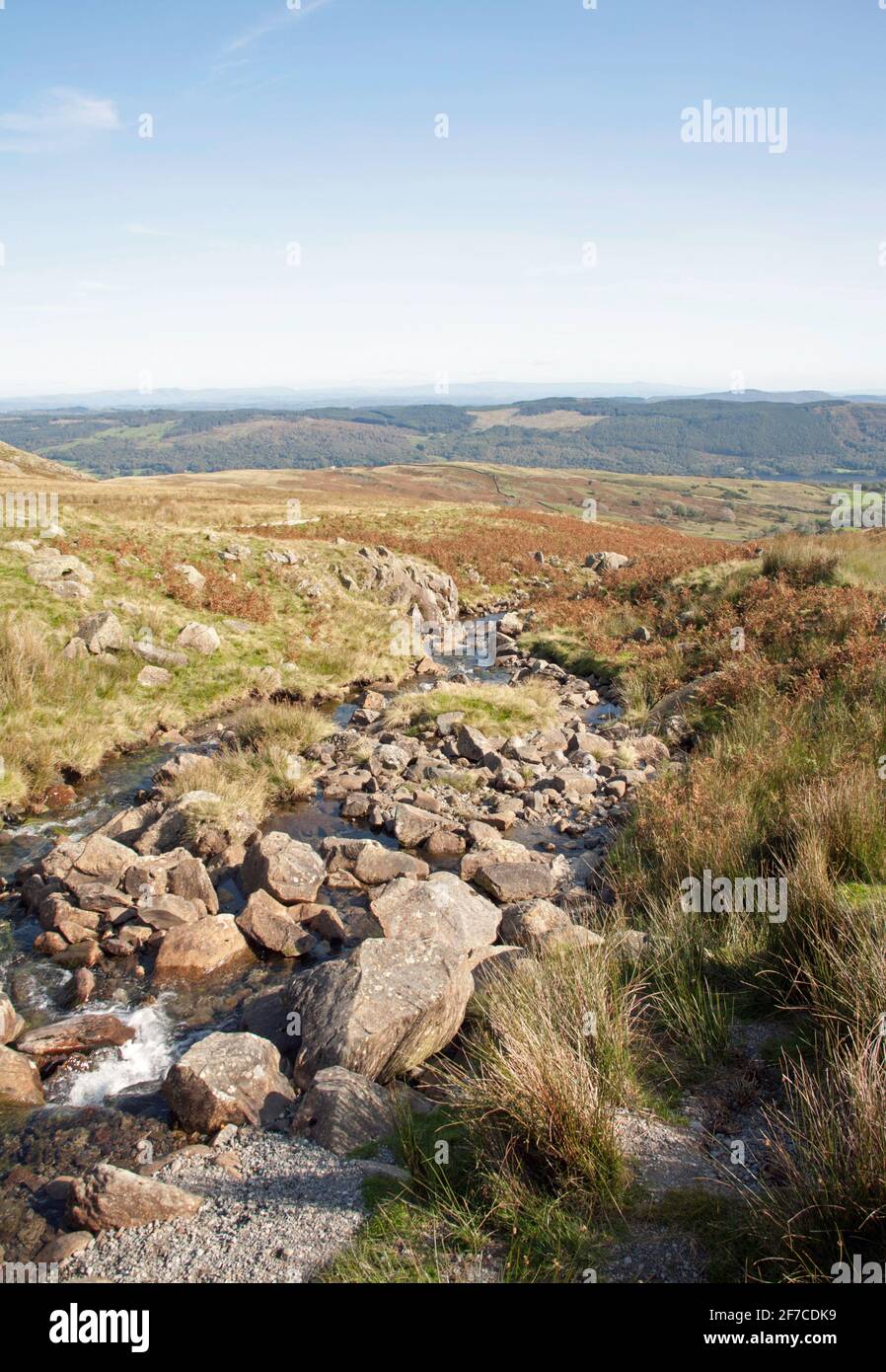 Torver Beck with the Grizedale Forest in the distance viewed from near ...