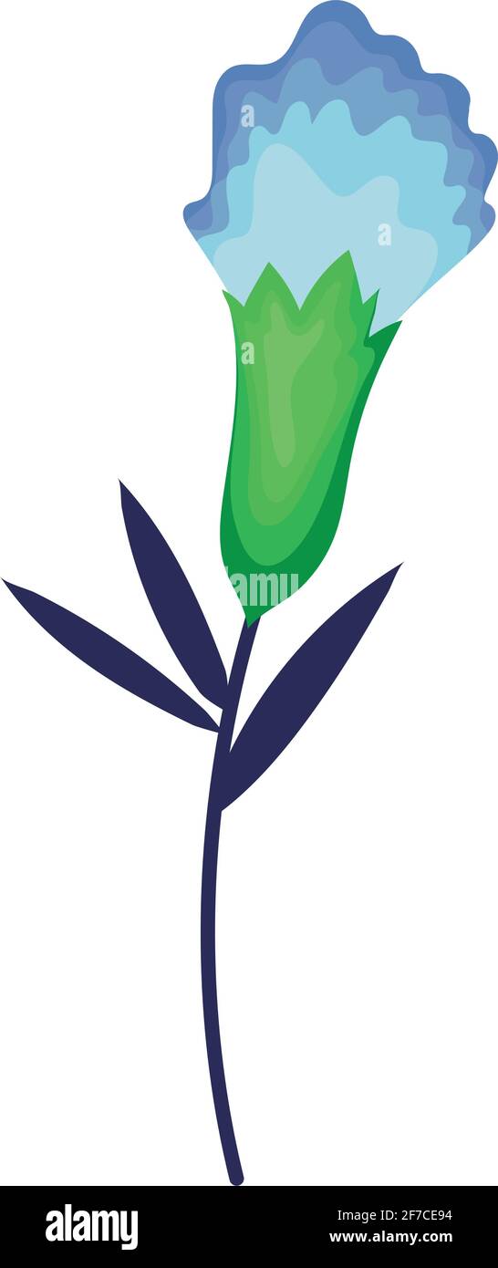 blue tulip illustration Stock Vector Image & Art - Alamy
