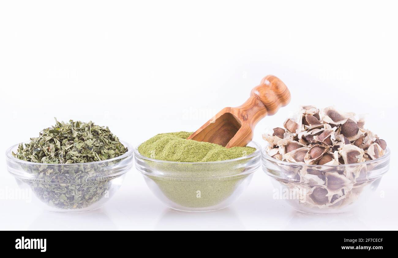 Seeds, leaves and seeds of moringa - Moringa oleifera Stock Photo - Alamy