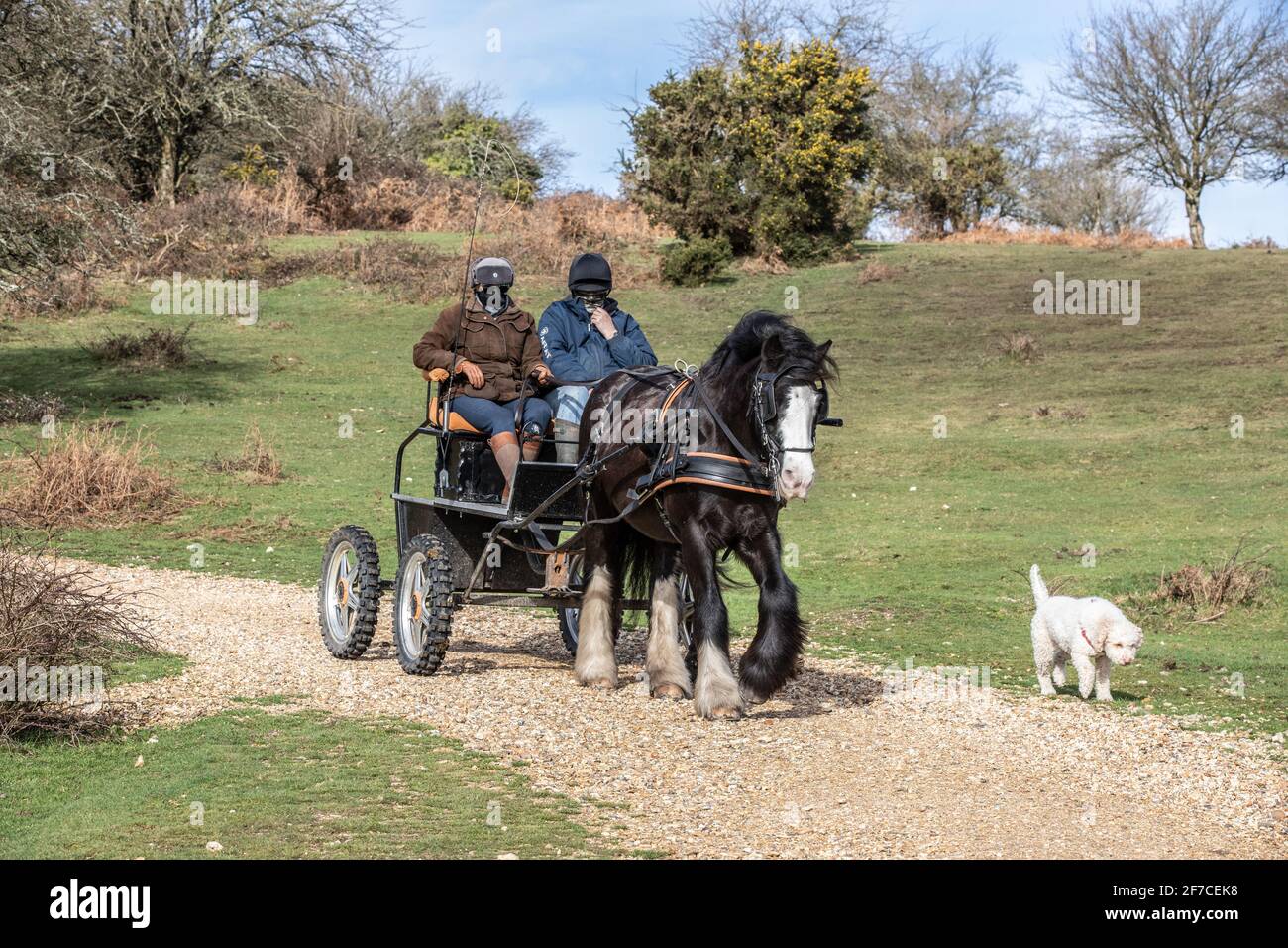 Fordingbridge hi-res stock photography and images - Alamy