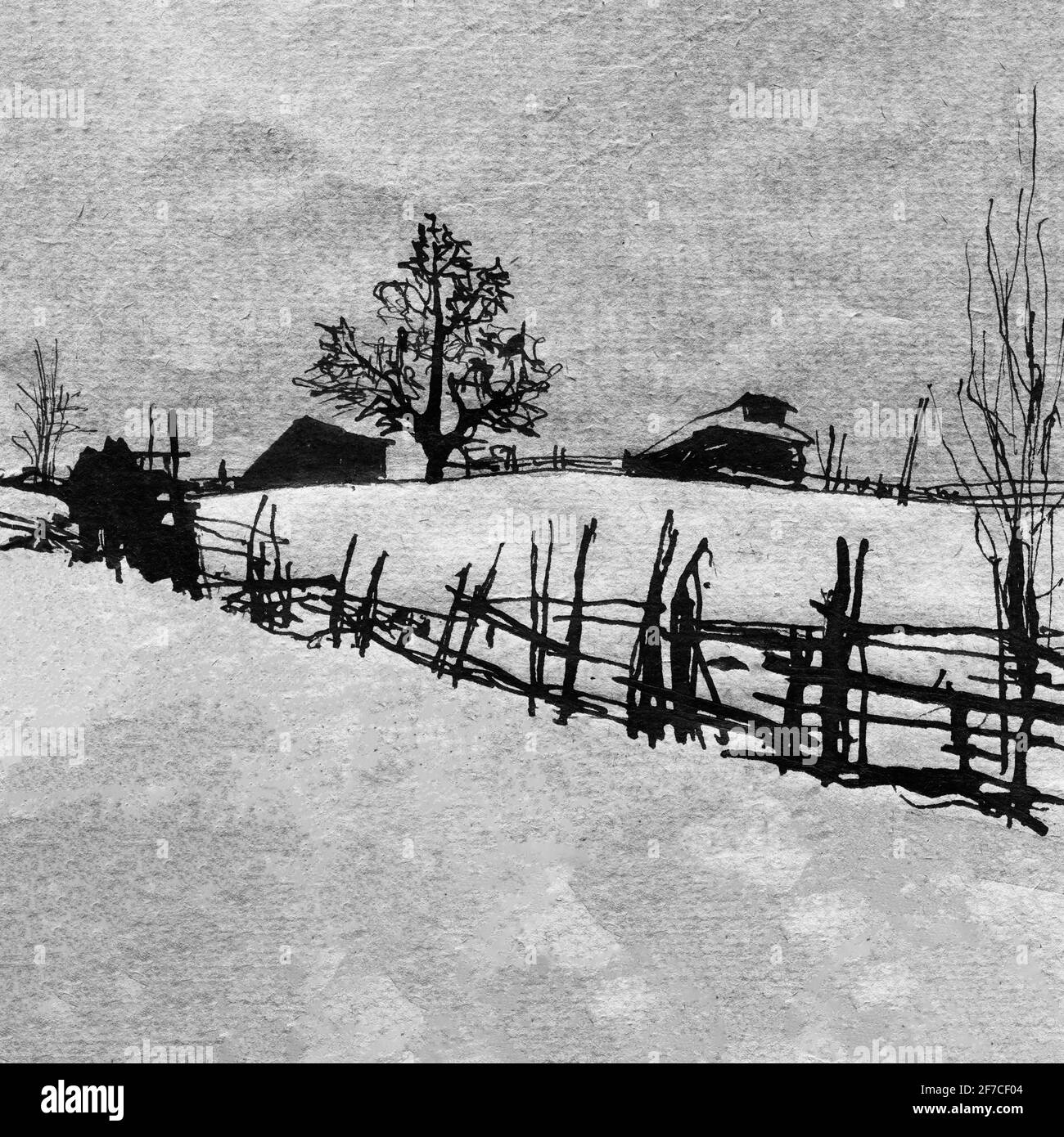 Black And White Photography Nature Scenes