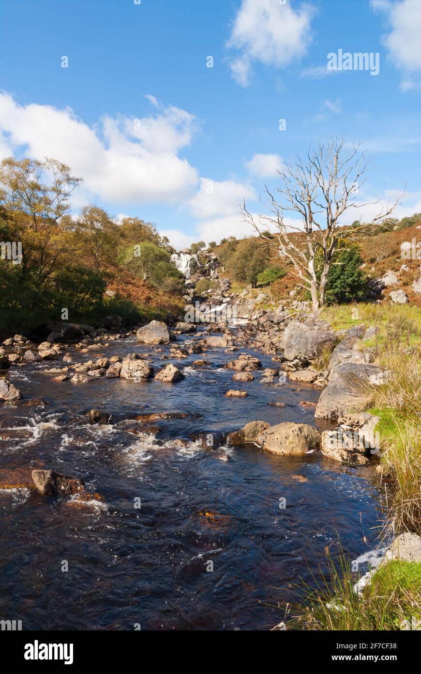 North bala falls hi-res stock photography and images - Alamy