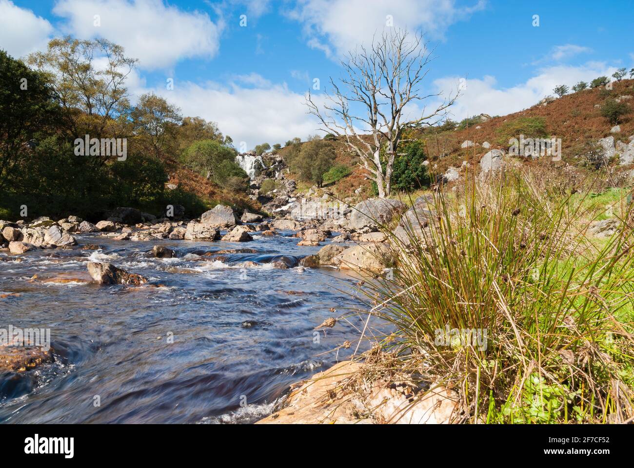 Bala river valley hi-res stock photography and images - Alamy