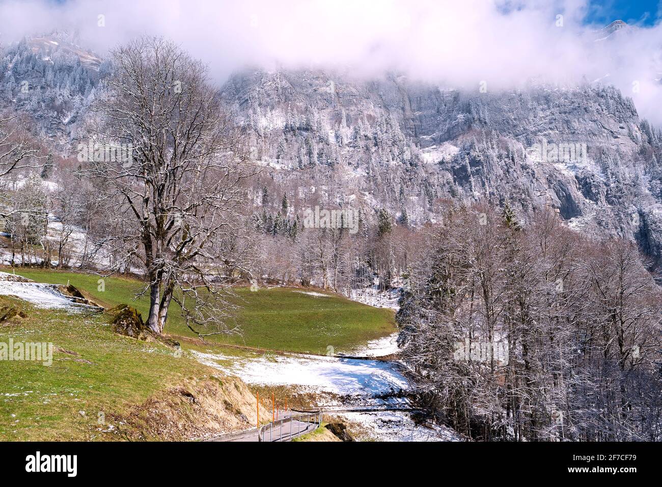 Spring landscape in the Alps with fresh green mountain pastures and ...