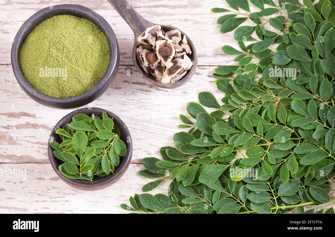 Seeds, leaves and seeds of moringa - Moringa oleifera Stock Photo - Alamy