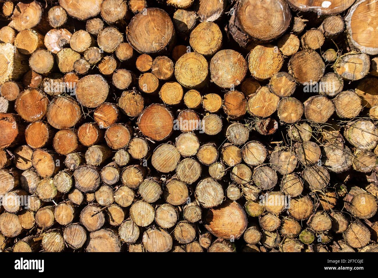 Core logging hi-res stock photography and images - Alamy