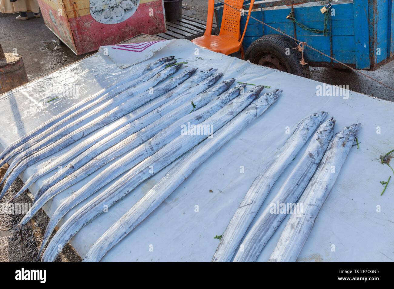 Long, slim and silver sabre fish on the seafood market in Essaouira ...