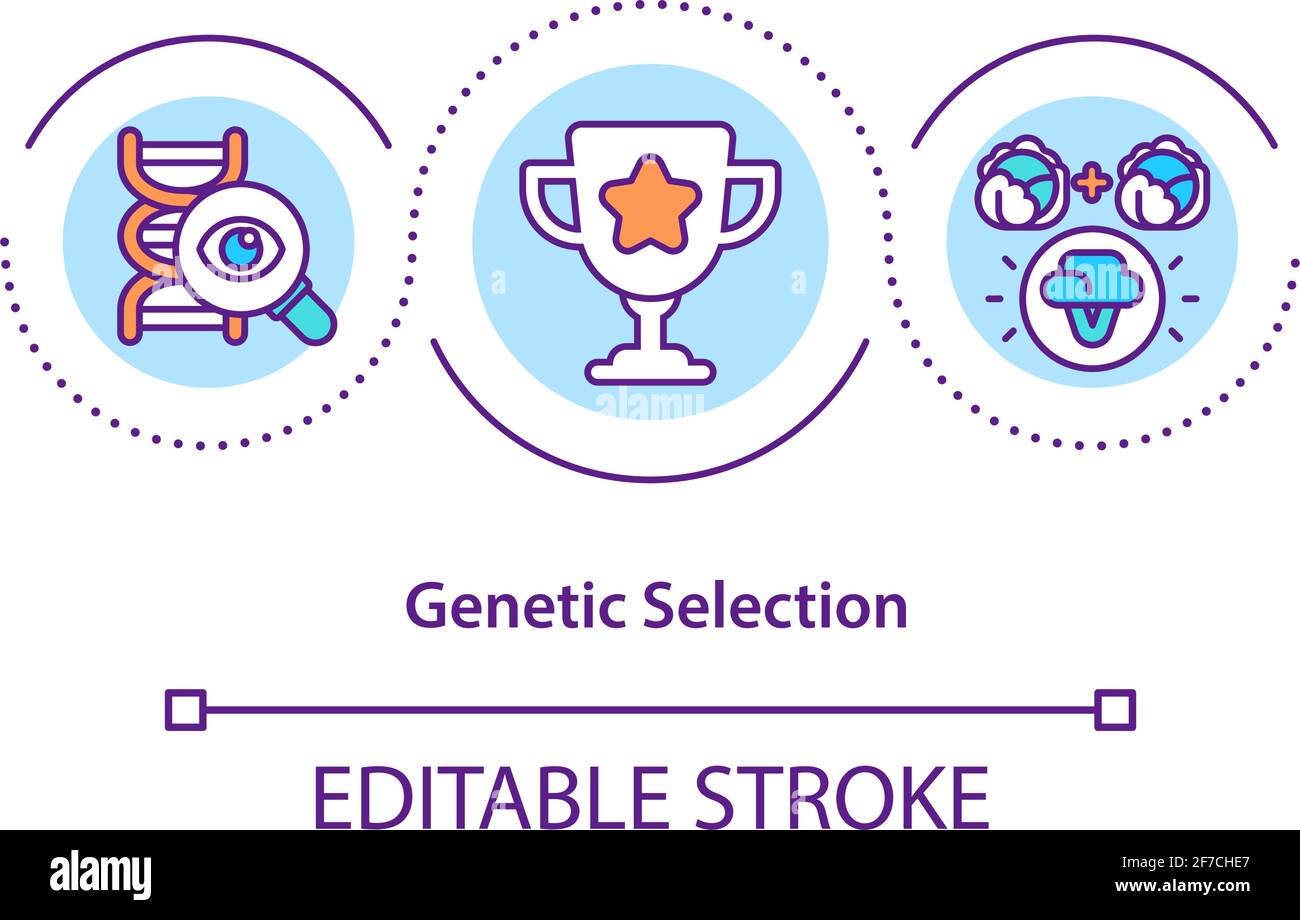 Genetic selection concept icon Stock Vector Image & Art - Alamy