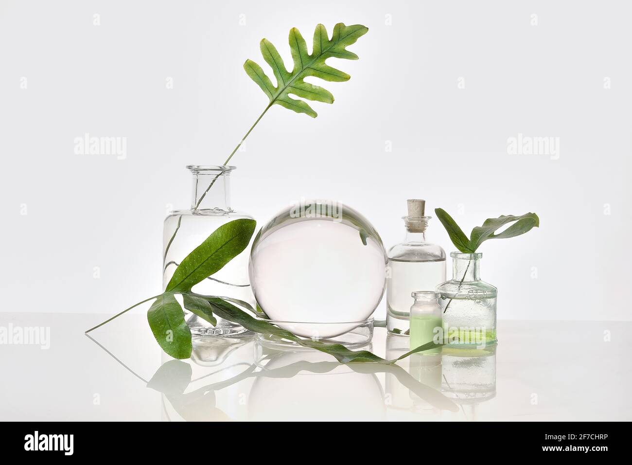 Laboratory glass jars hi-res stock photography and images - Alamy