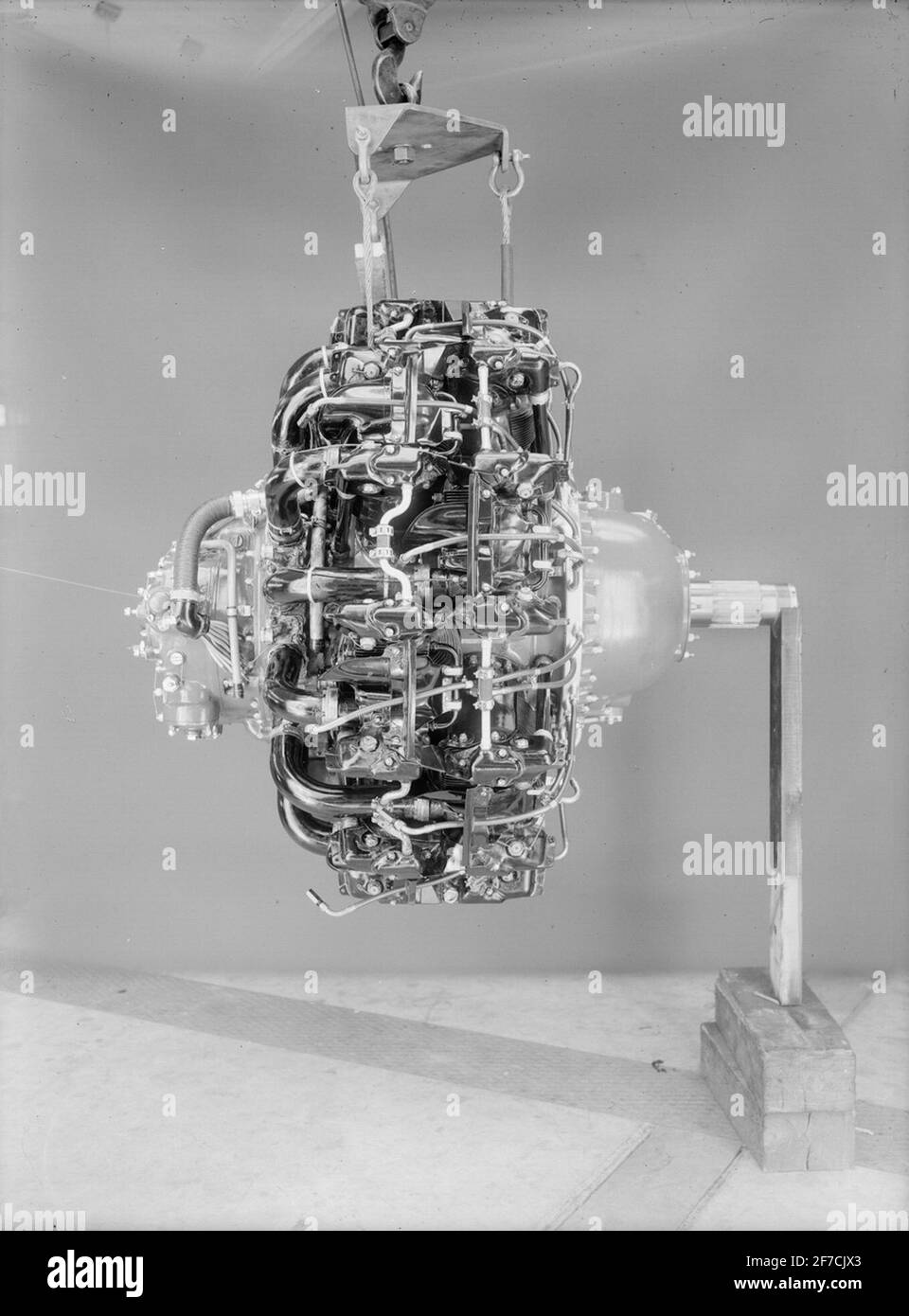 Flight Engine STW C3 Flight Engine Stw C3. Pratt & Whitney Twin Wasp ...