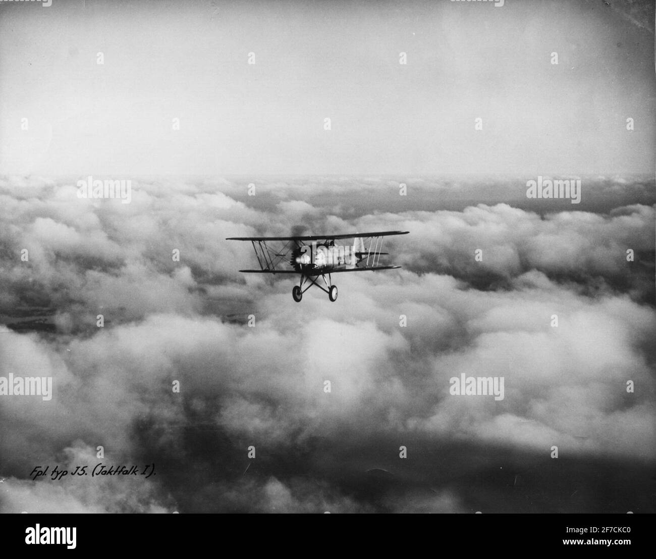 Aircraft J 5 Hunting falcon in the air, 1930s. Aircraft J 5 Hunting ...