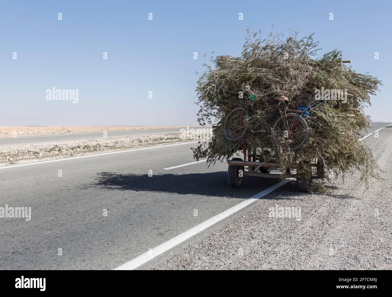 Fully loaded carriage en route through Morocco Stock Photo - Alamy