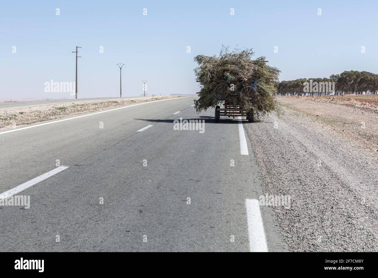 Fully loaded carriage en route through Morocco Stock Photo - Alamy